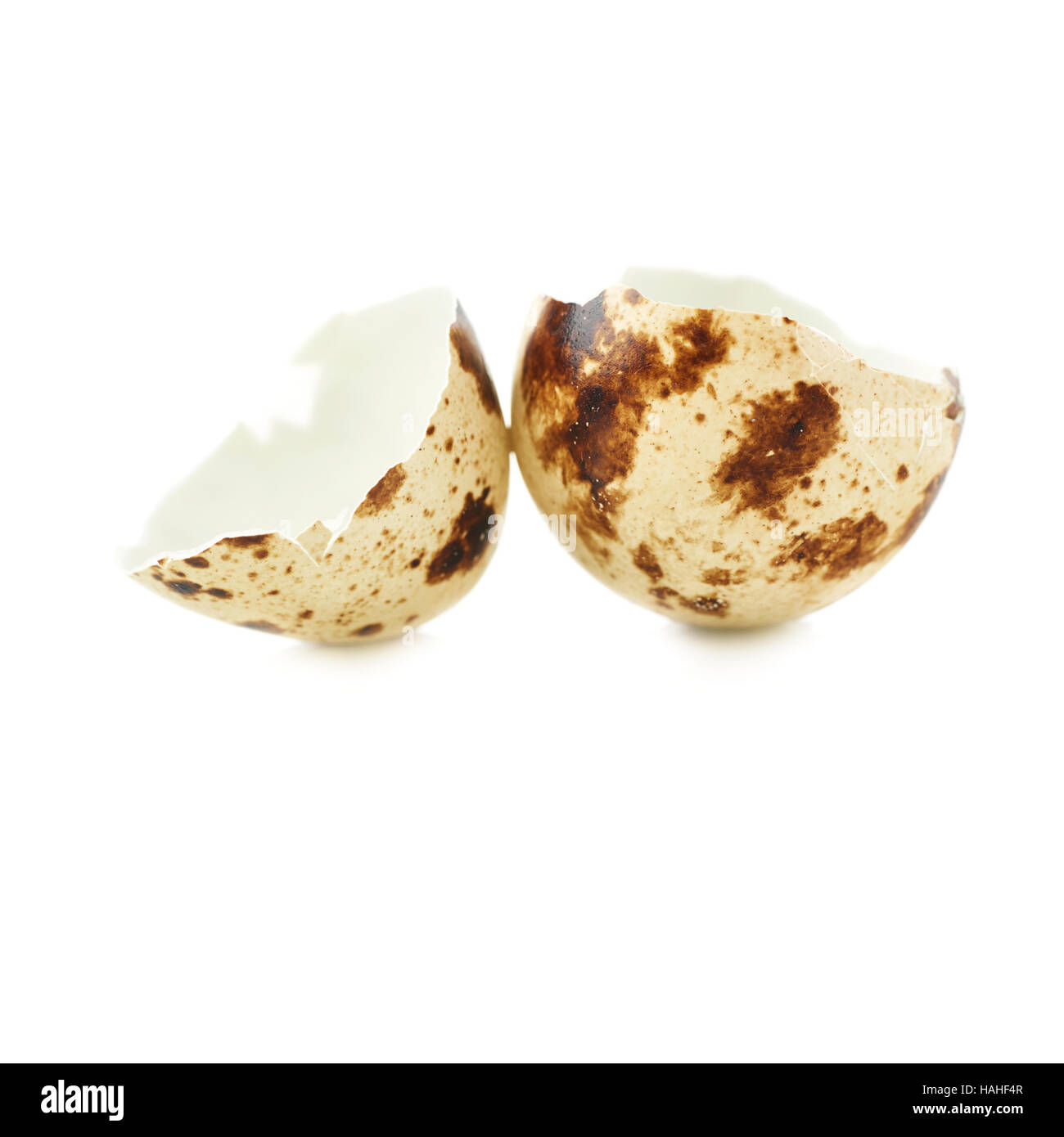 Quail egg shell cracked and isolated over white background Stock Photo ...