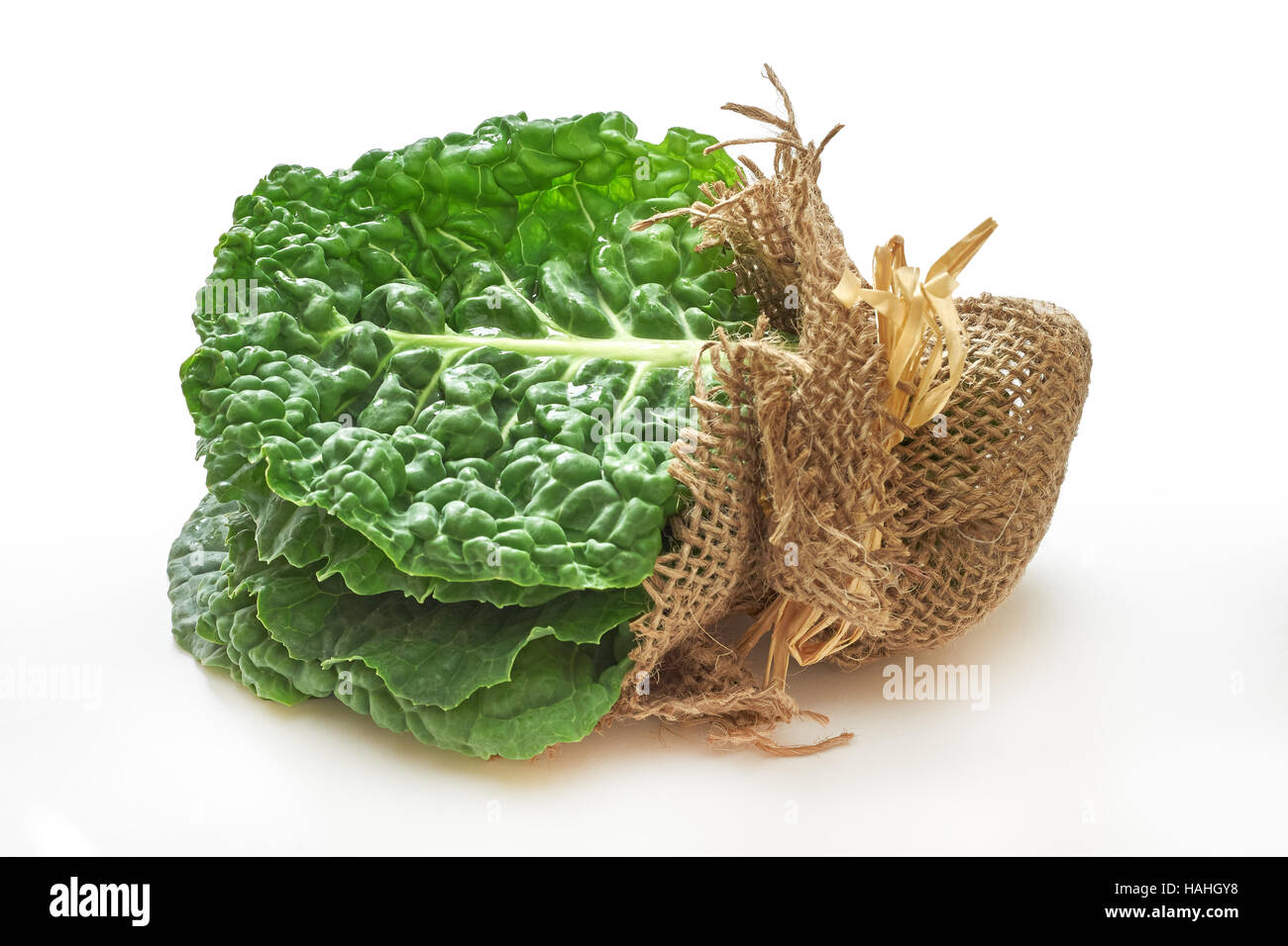 Raw organic savoy cabbage leaves isolated on white background Stock ...