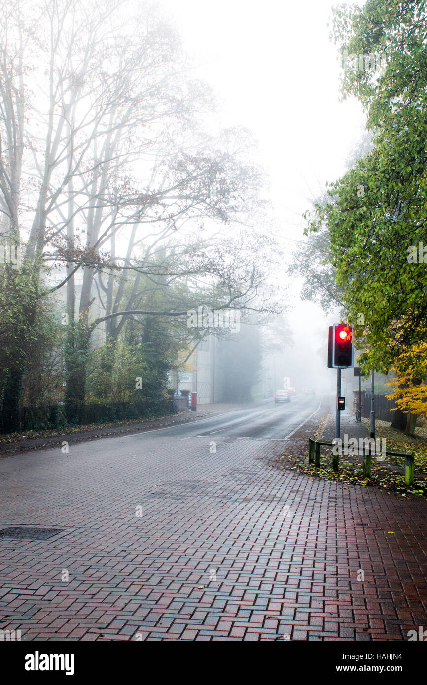 A Foggy path Stock Photo - Alamy