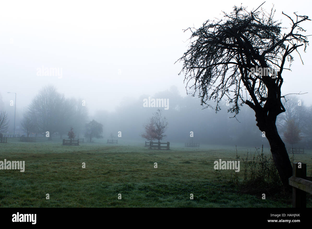 The Foggy day Stock Photo - Alamy