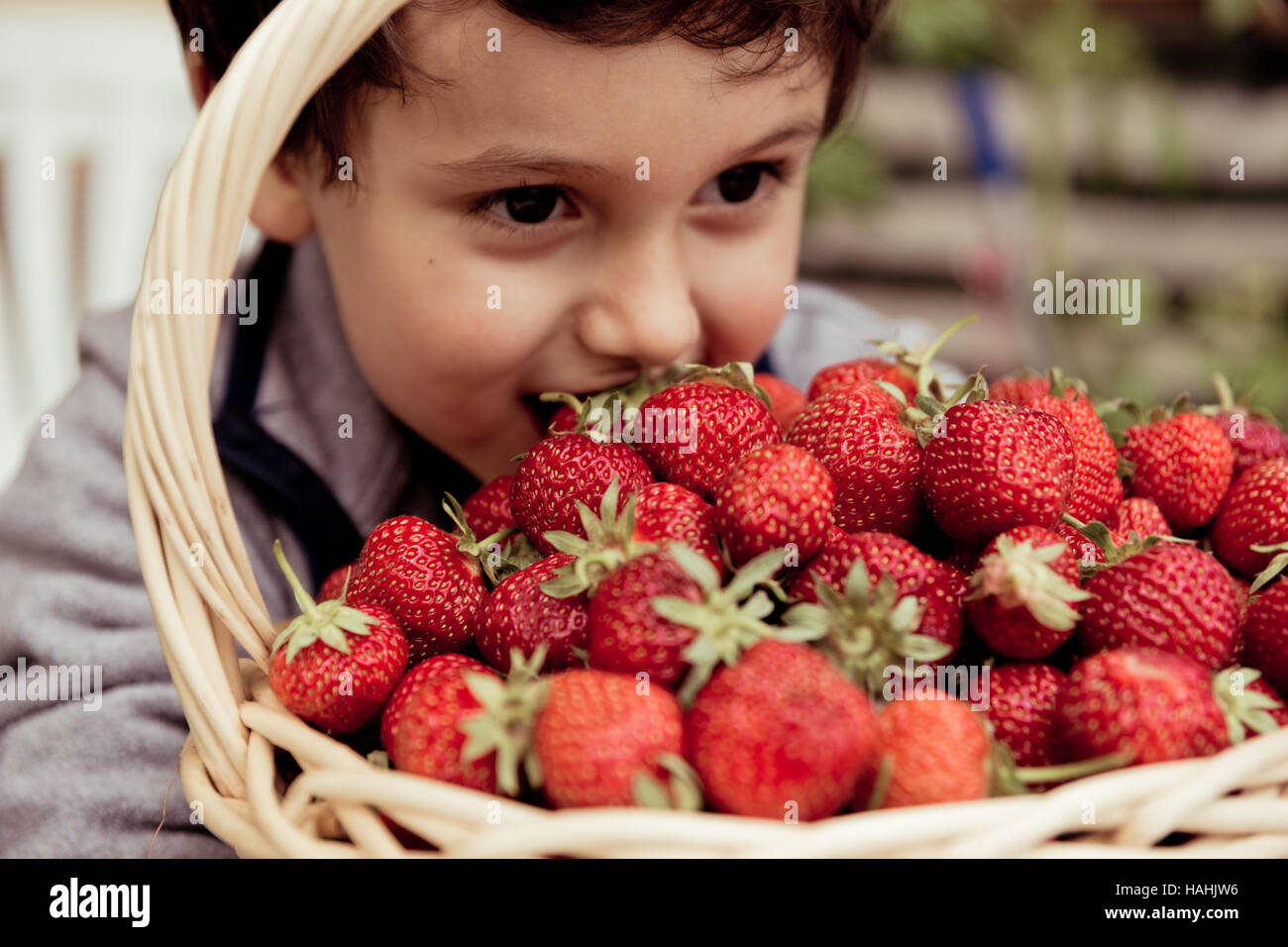 Cute boy child eating healthy organic food, fresh berries. Fresh picked ...