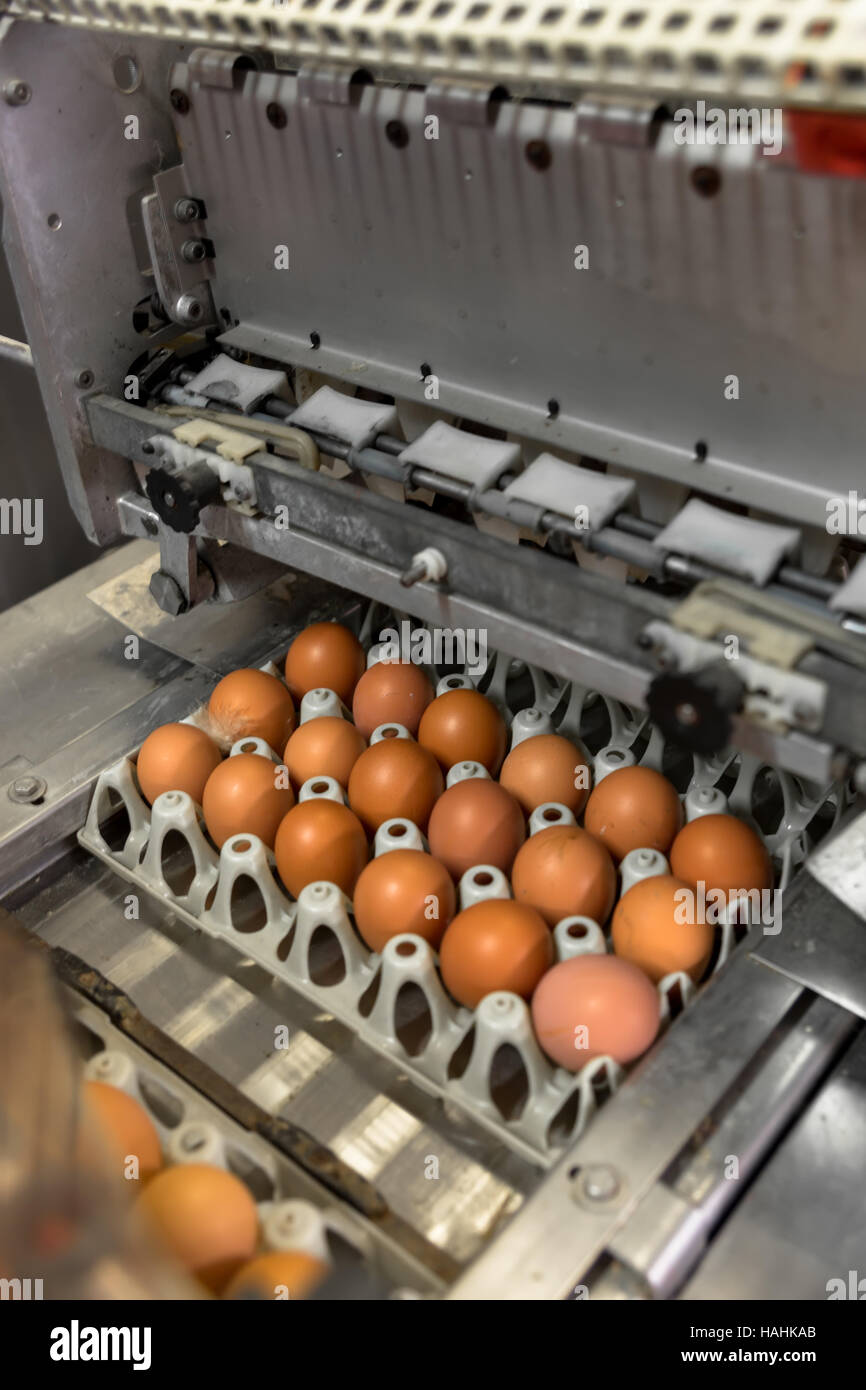 Eggs packaging hi-res stock photography and images - Alamy