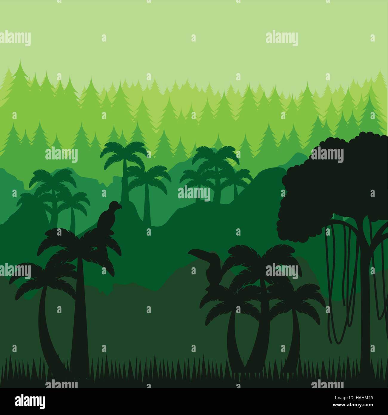 jungle landscape with palms and birds. colorful design. brazilian ...