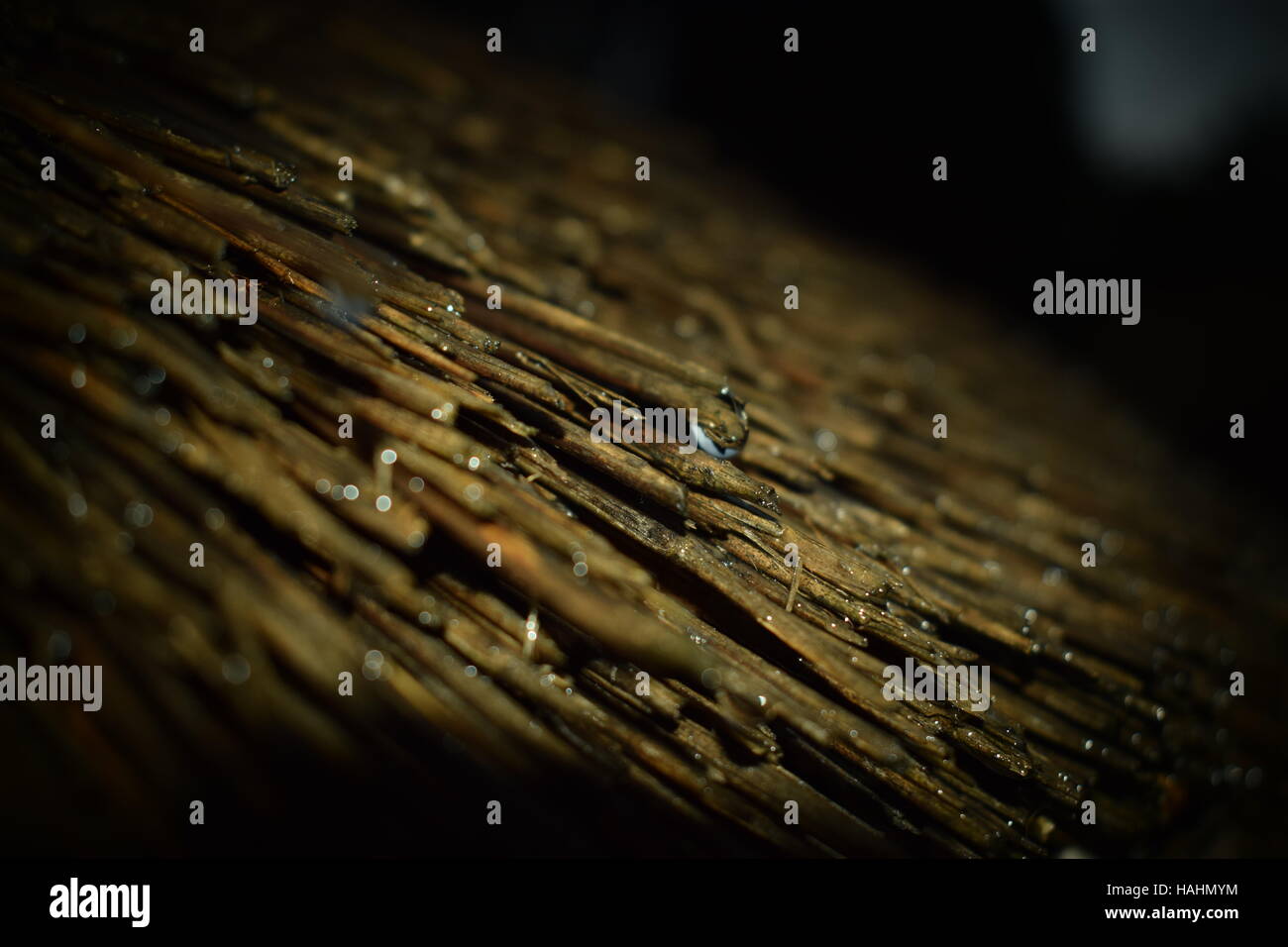 Straw roof hi-res stock photography and images - Alamy