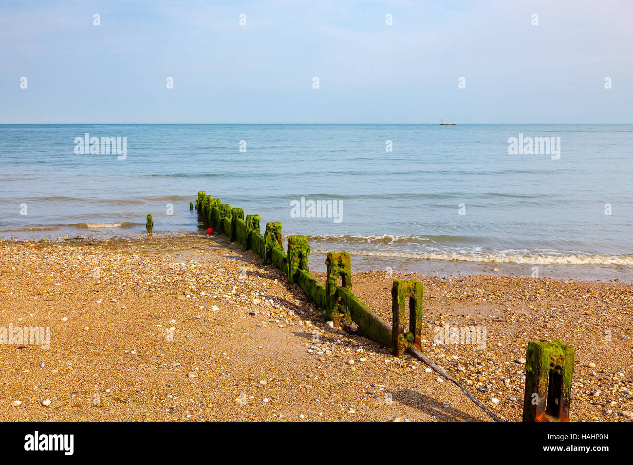 Timber Groynes on the shingle beach at Pagham West Sussex England UK ...