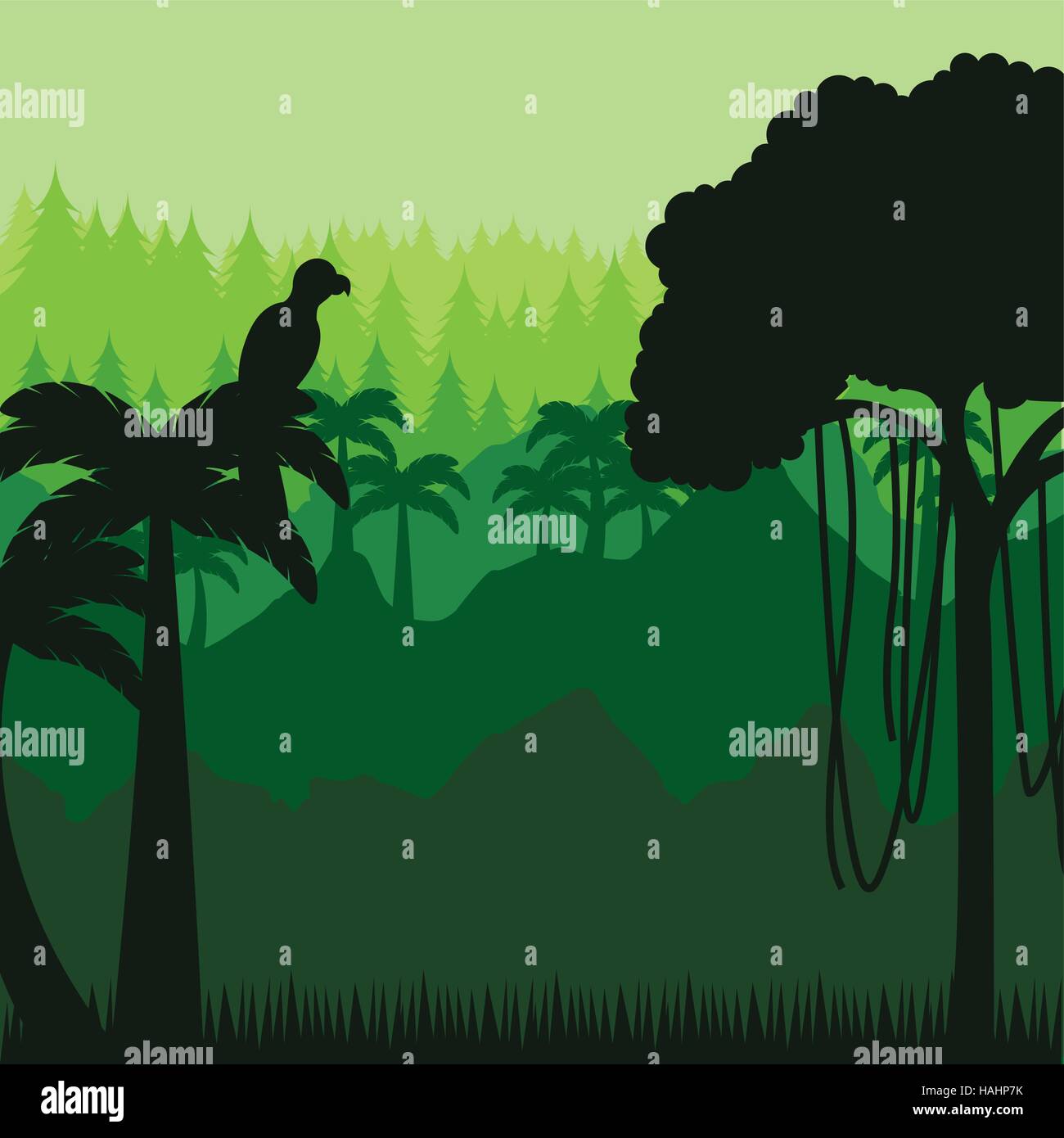 jungle landscape with palms and birds. colorful design. brazilian ...