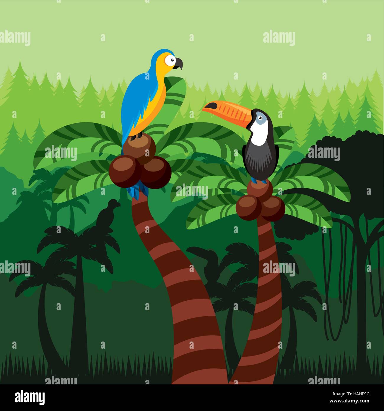 toucan and macaw birds over jungle background. colorful design. vector ...