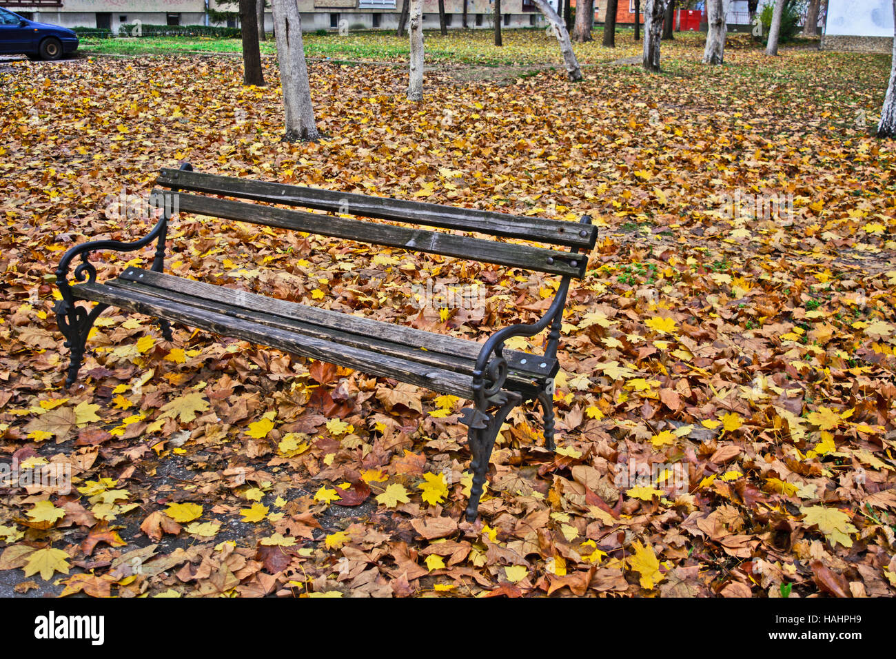 Wooden bench covered with autumn fallen leaves. Bench in front of the ...