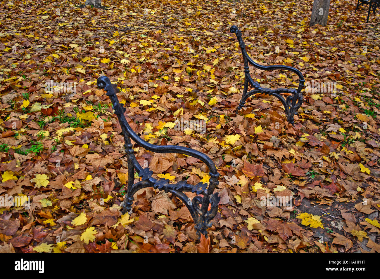 Invisible bench with which someone took off strips for sitting Stock ...