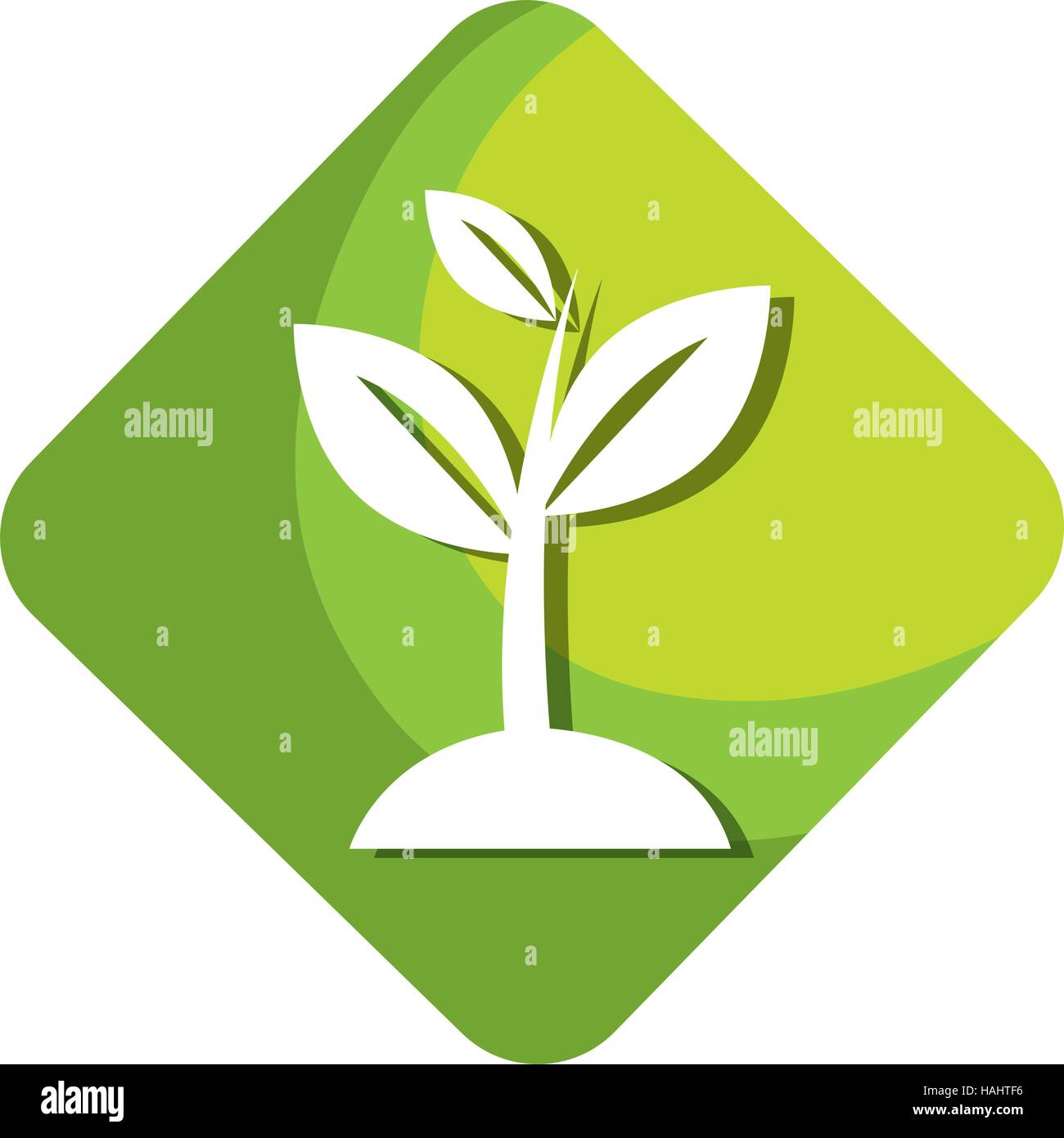 leafs plant ecology symbol vector illustration design Stock Vector ...