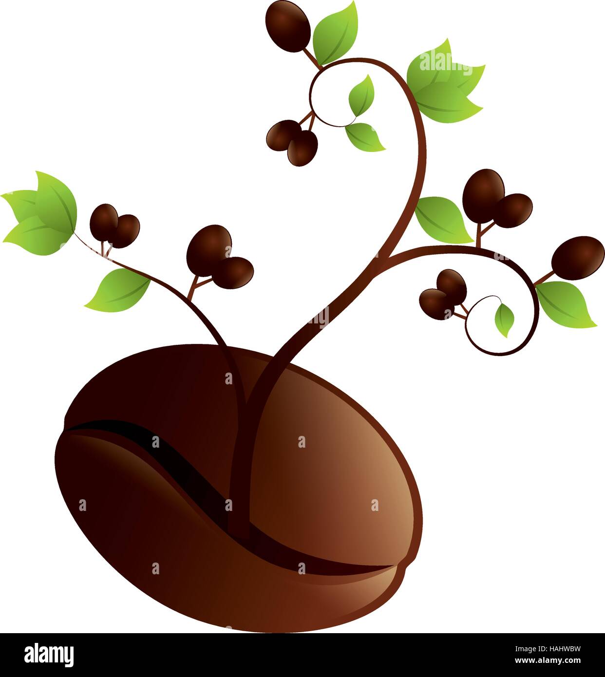 coffee plant organic product vector illustration design Stock Vector ...