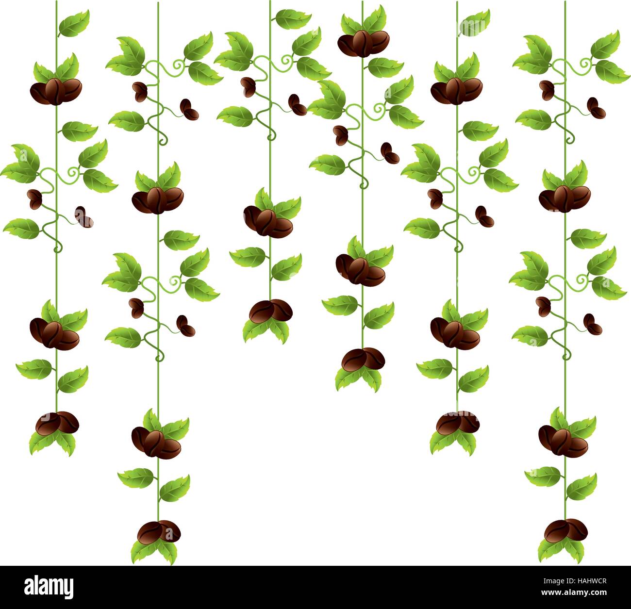 coffee plant organic product vector illustration design Stock Vector ...