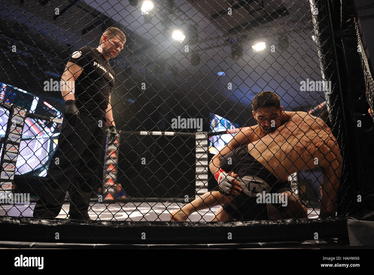 Male mma fighter hi-res stock photography and images - Alamy