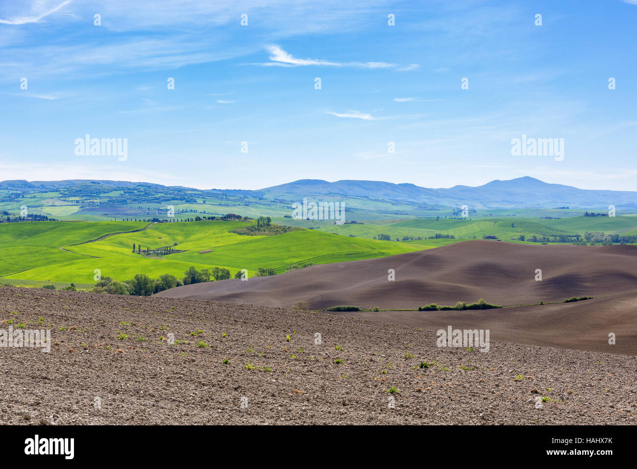 Tuscan country view of sown field in spring Stock Photo - Alamy