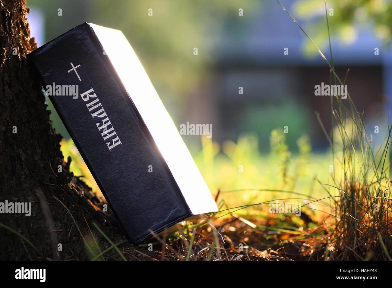 inscription on the book of the Bible "Bible" with cross in natur Stock ...