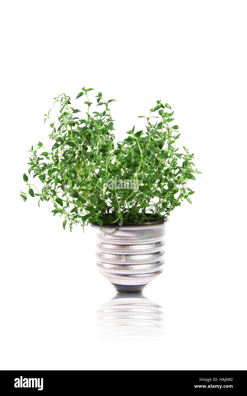 Renewable sustainable eco friendly green Cut Out Stock Images ...