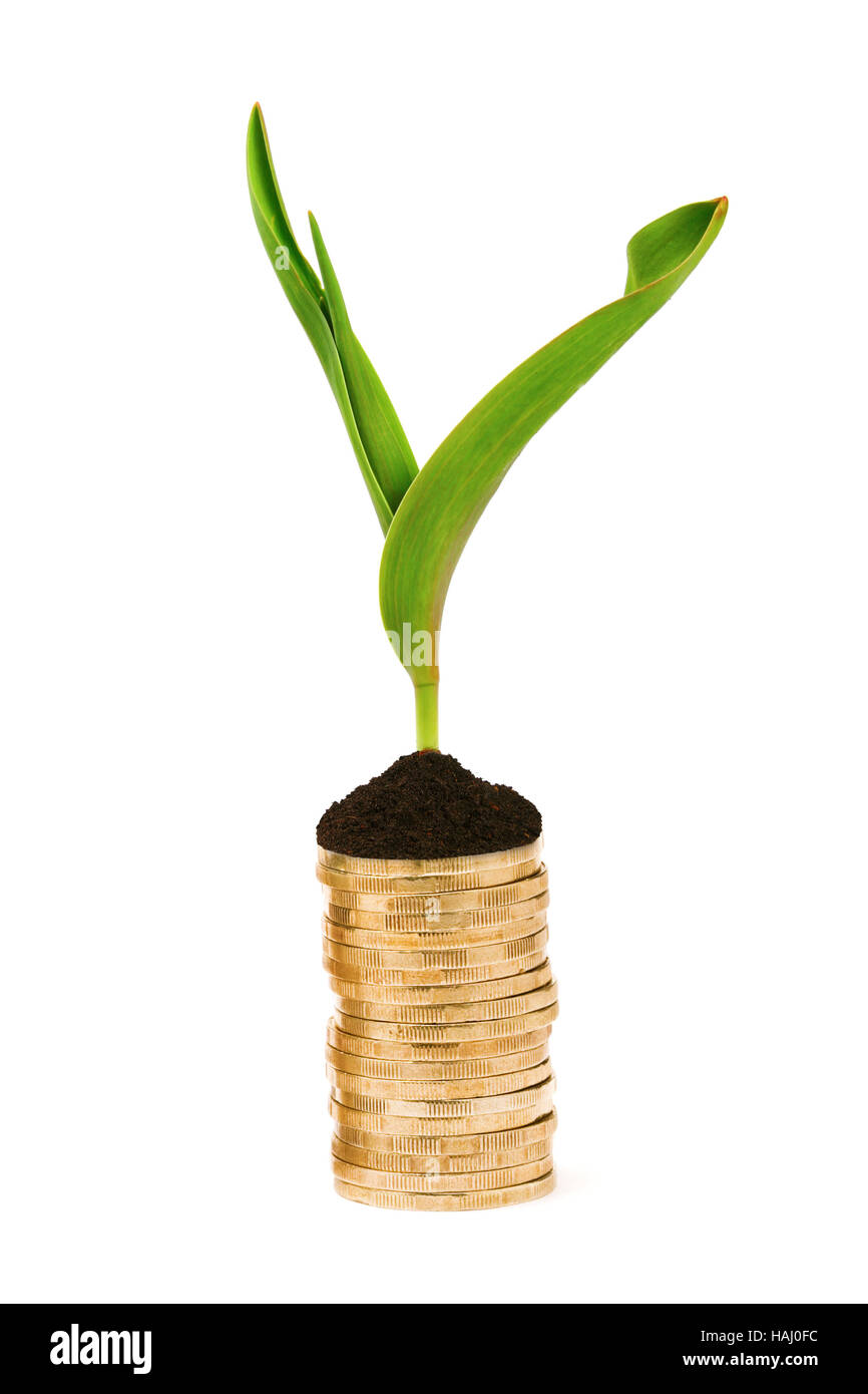 stack of coins and plant Stock Photo - Alamy