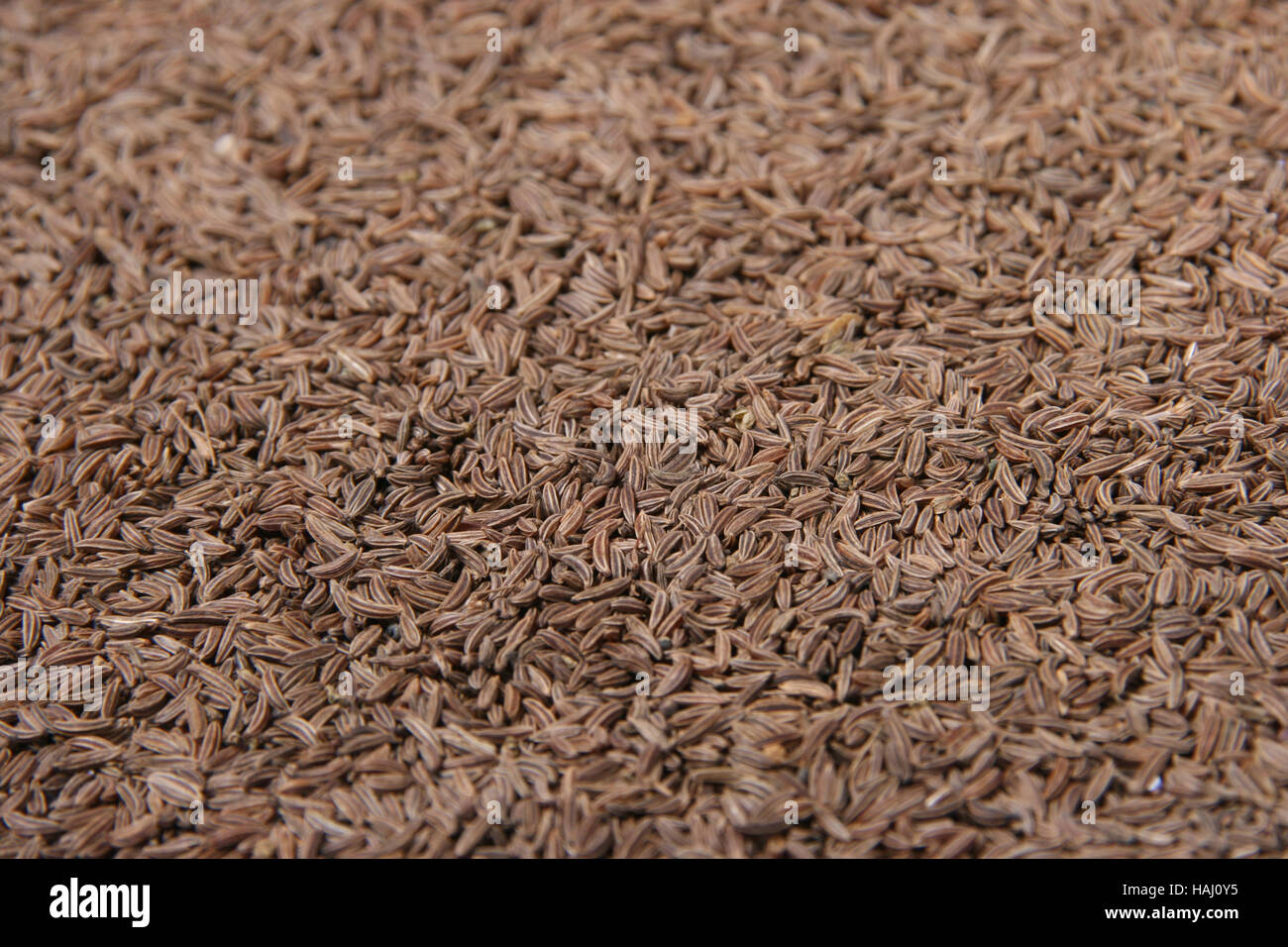 closeup of cumin seeds Stock Photo - Alamy