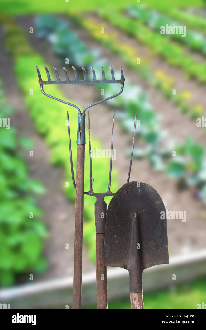Garden tools background vegetables hi-res stock photography and images ...