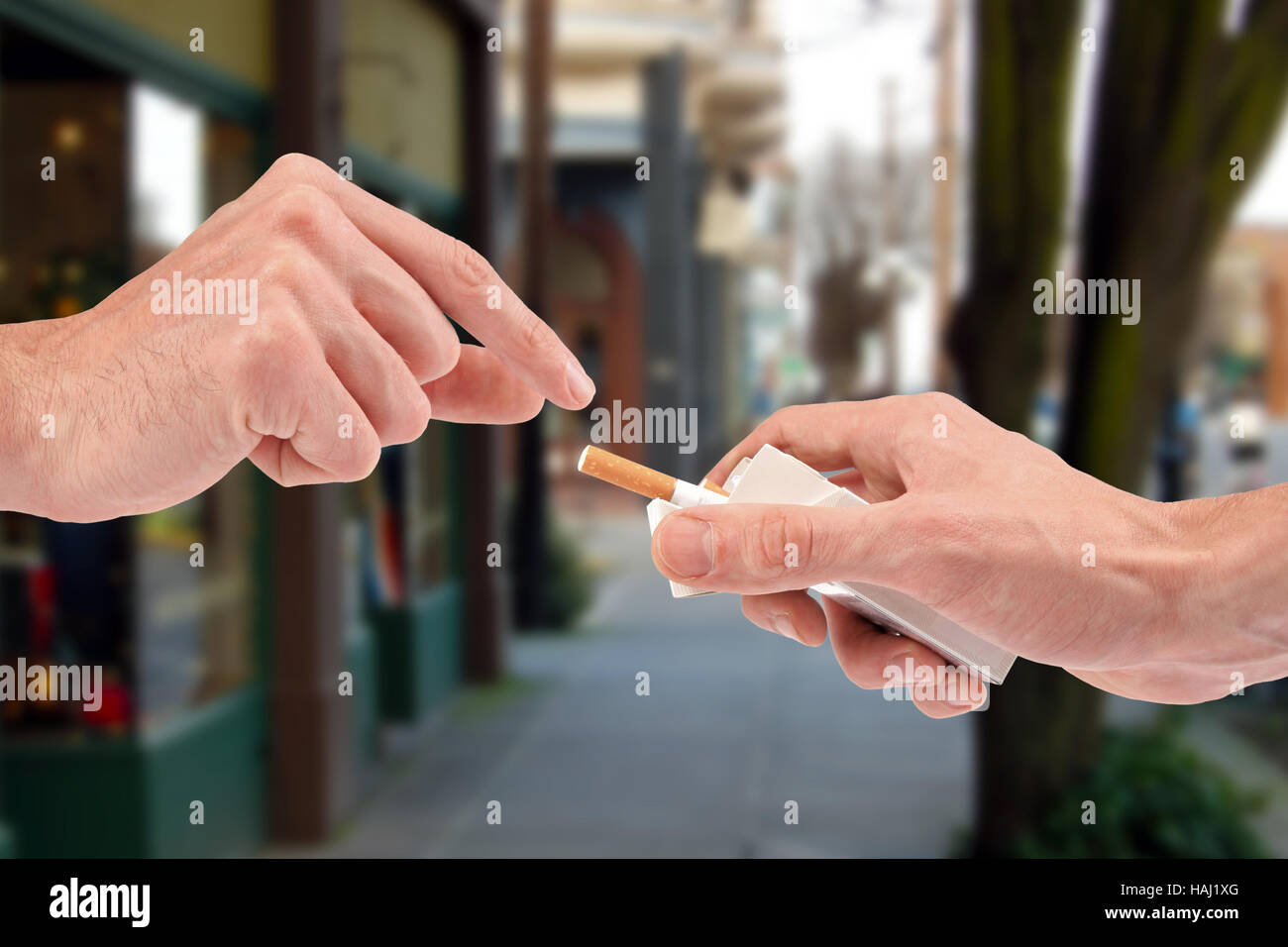 offering a cigarette from the pack on the street Stock Photo - Alamy