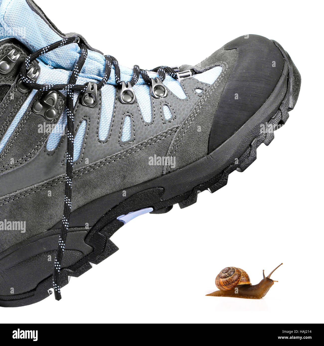 boot and snail isolated on white Stock Photo - Alamy
