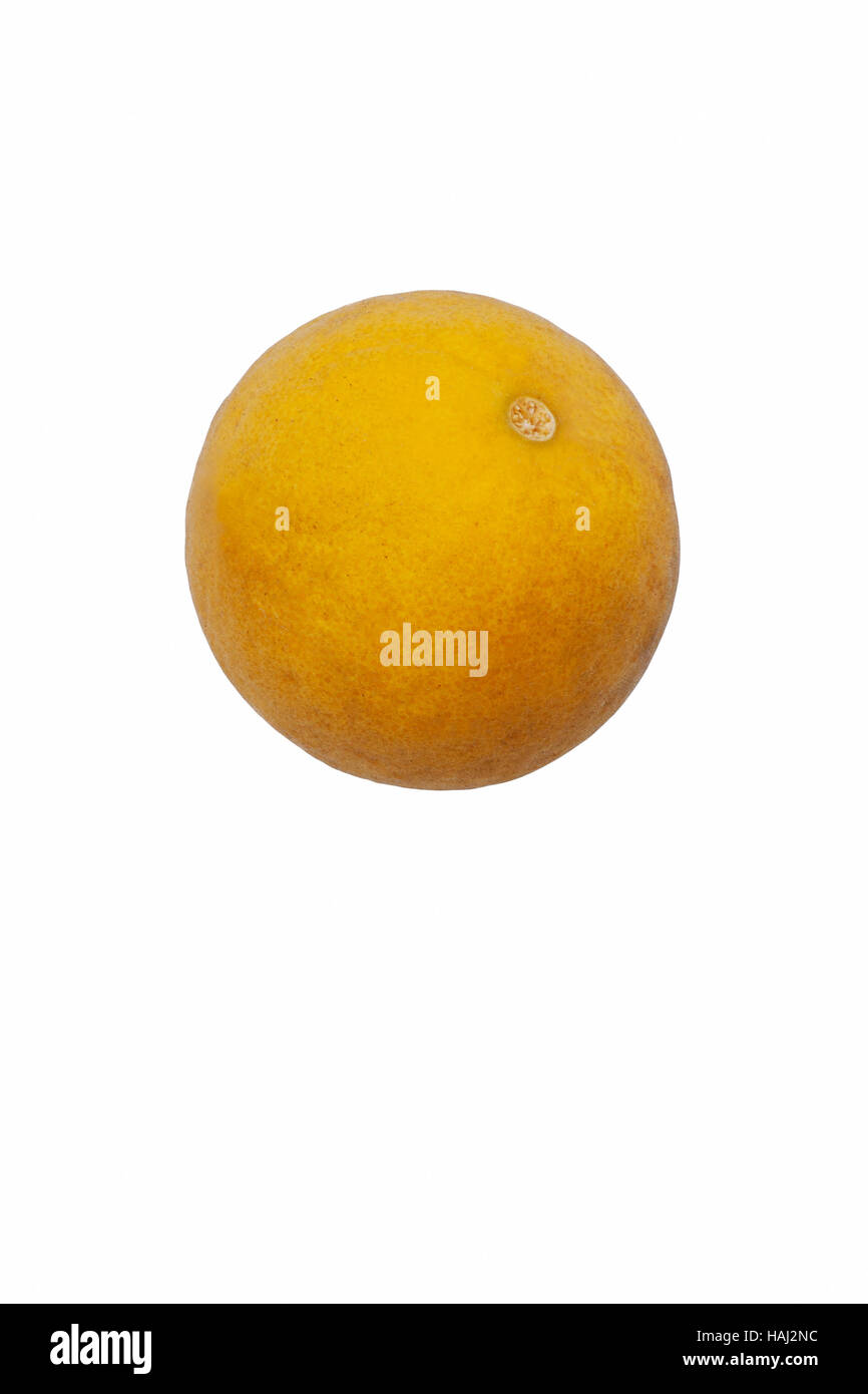 Trifoliate citrus fruit Stock Photo - Alamy