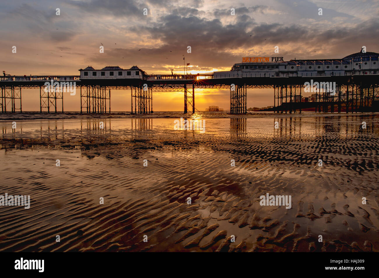 Low tide at Brighton Pier Stock Photo - Alamy