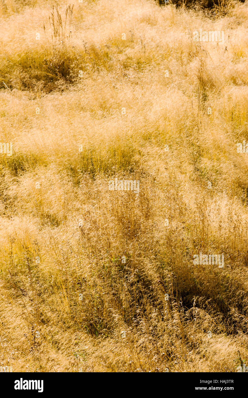 Phantom lake hi-res stock photography and images - Alamy