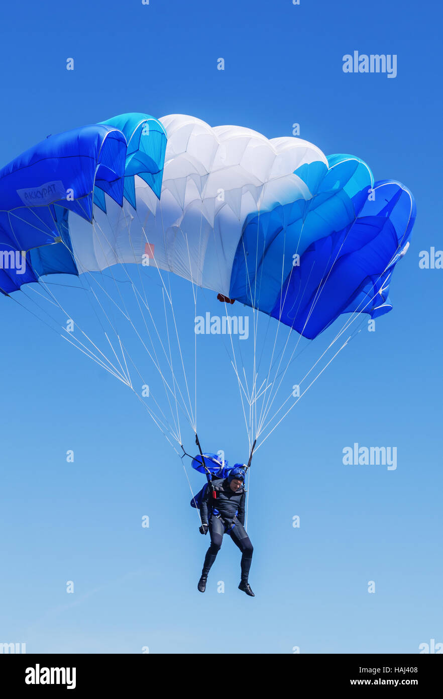 Parachutists - 2015.Flight under the parachute Stock Photo - Alamy