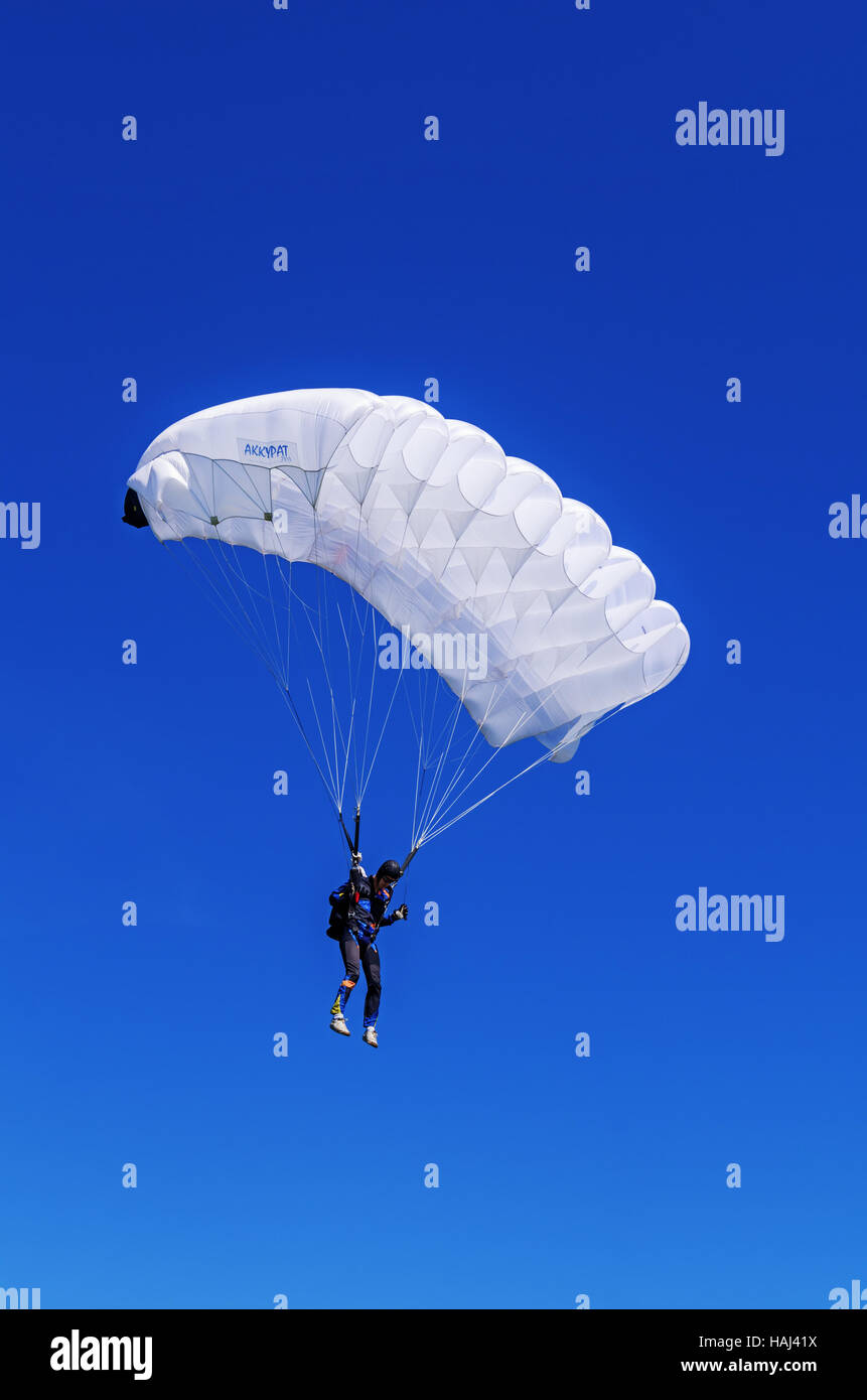 Parachutists - 2015.Flight under the parachute Stock Photo - Alamy