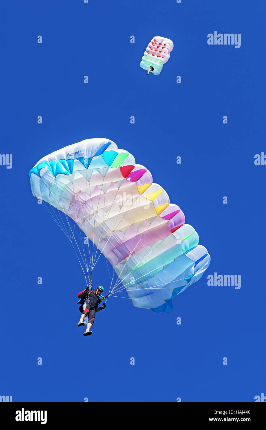 Parachutists - 2015.Flight under the parachute Stock Photo - Alamy