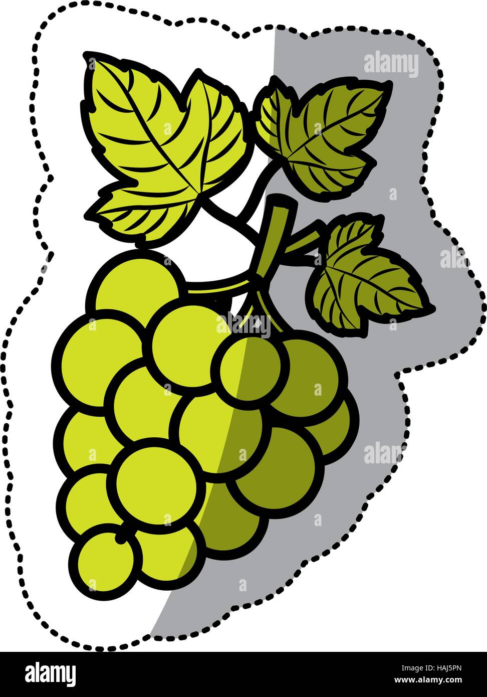 Isolated grapes fruit design Stock Vector Image & Art - Alamy