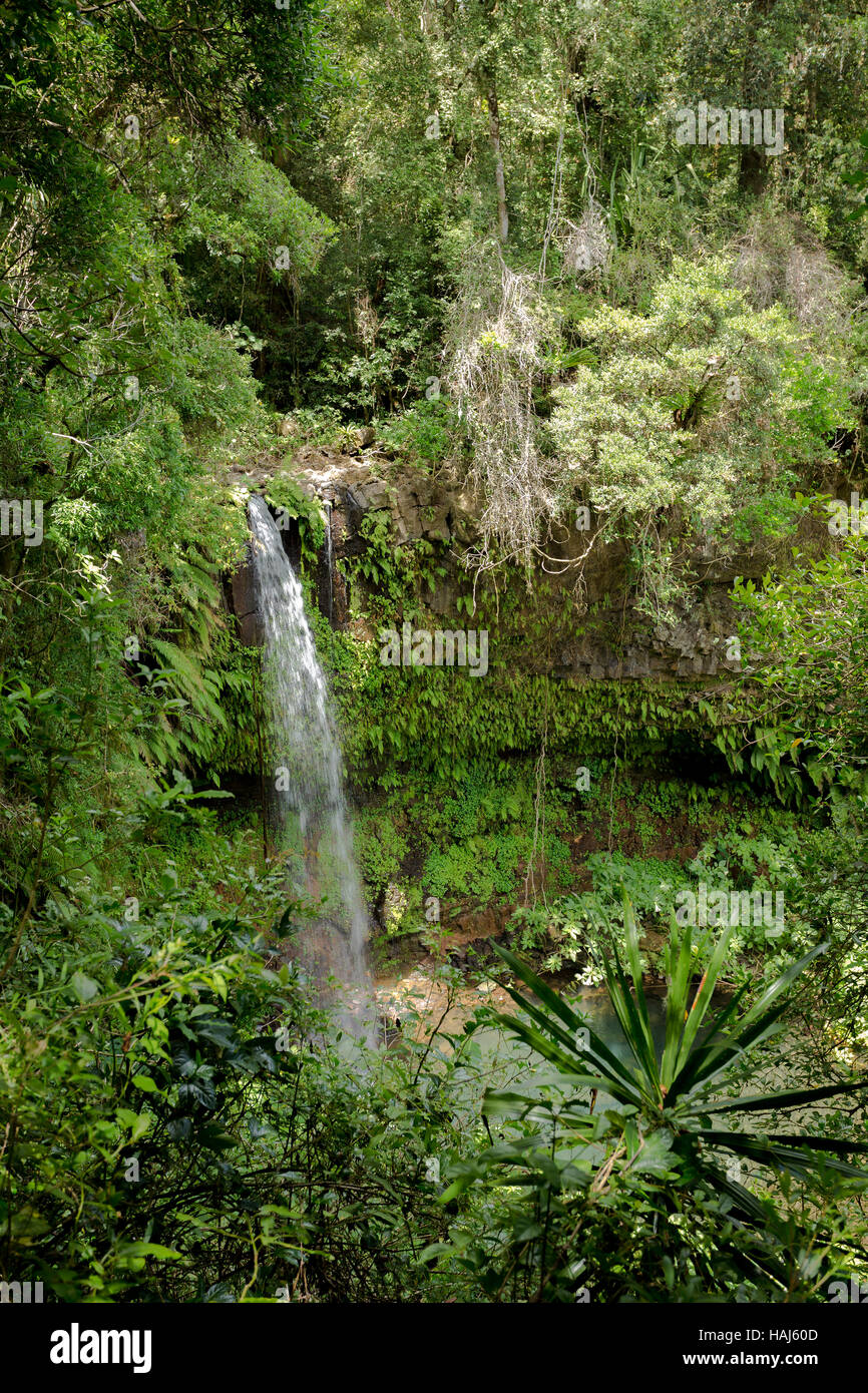 Small waterfall in Amber mountain national park with richest ...