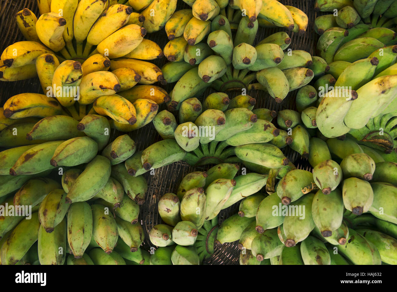 Green and ripe bananas Stock Photo - Alamy