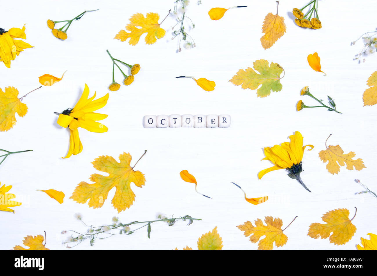 October word hi-res stock photography and images - Alamy