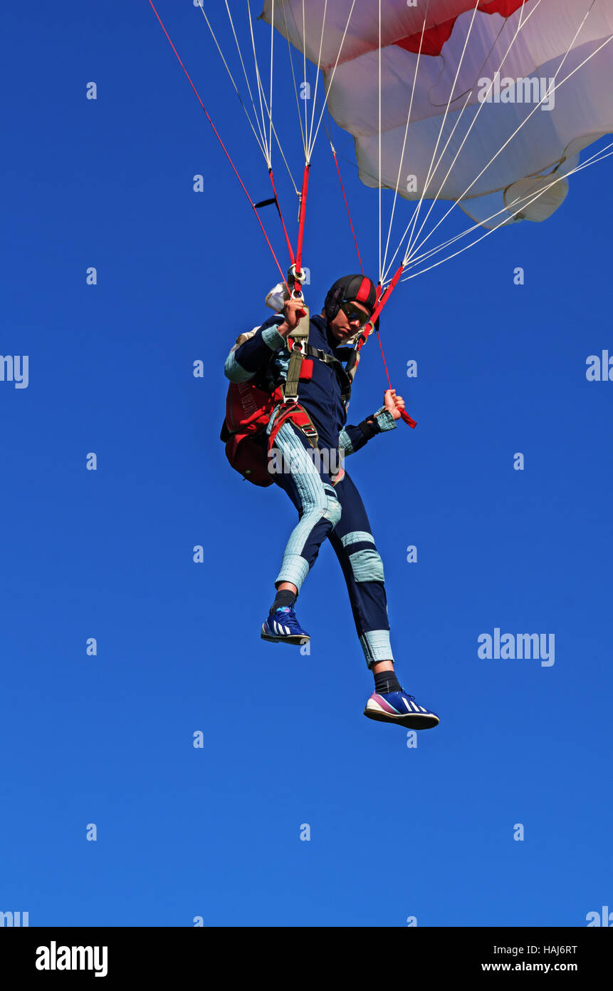 Parachutists - 2015.Landing on airfield Stock Photo - Alamy