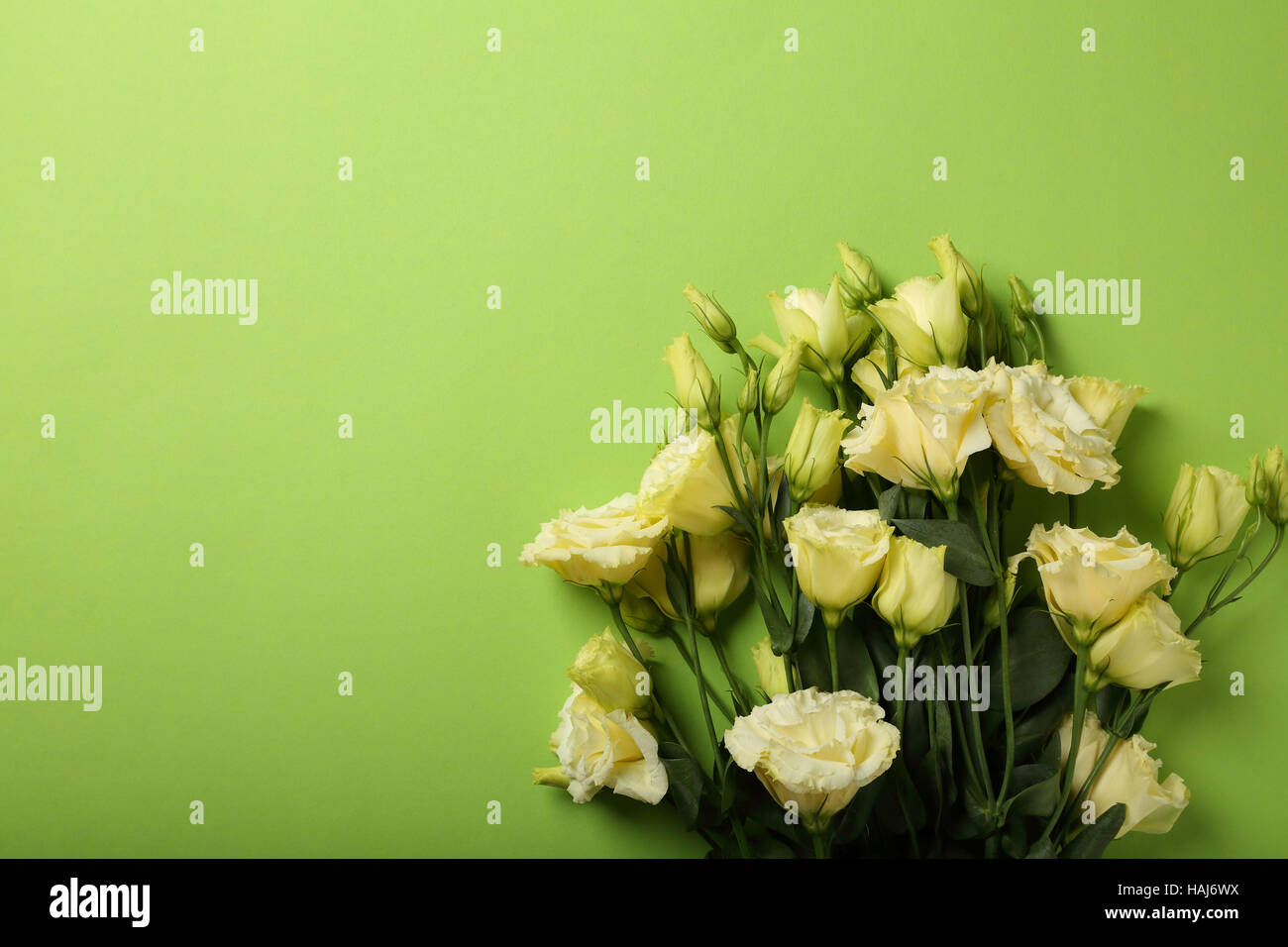 Fresh flowers background Stock Photo - Alamy