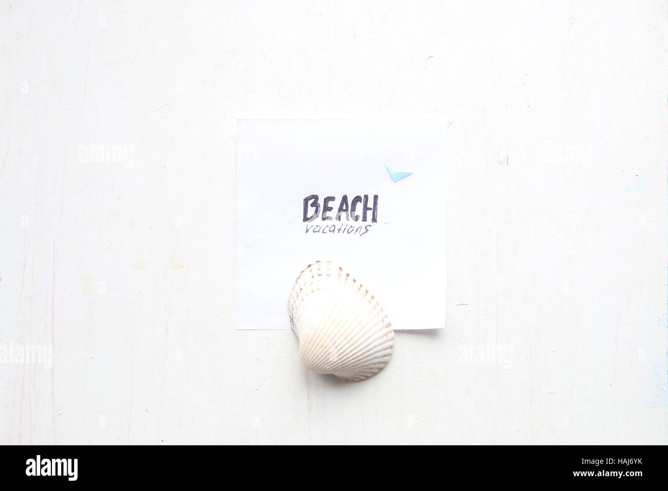 Beach vacation concept, text and seashell, art style Stock Photo - Alamy
