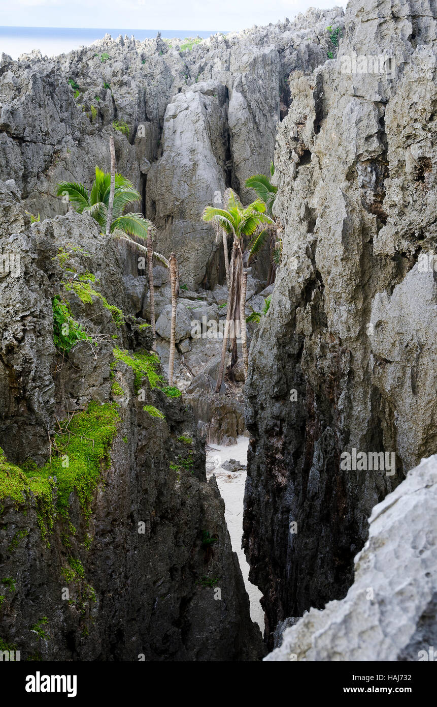 Togo landscape hi-res stock photography and images - Alamy