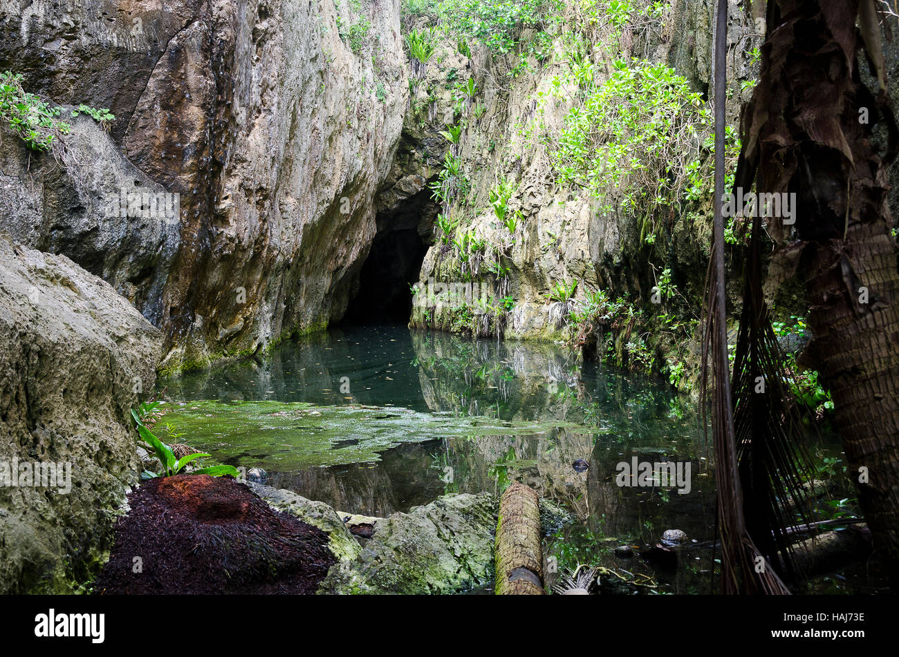 Small lake in chasm, Togo Chasm, Niue, South Pacific, Oceania Stock ...