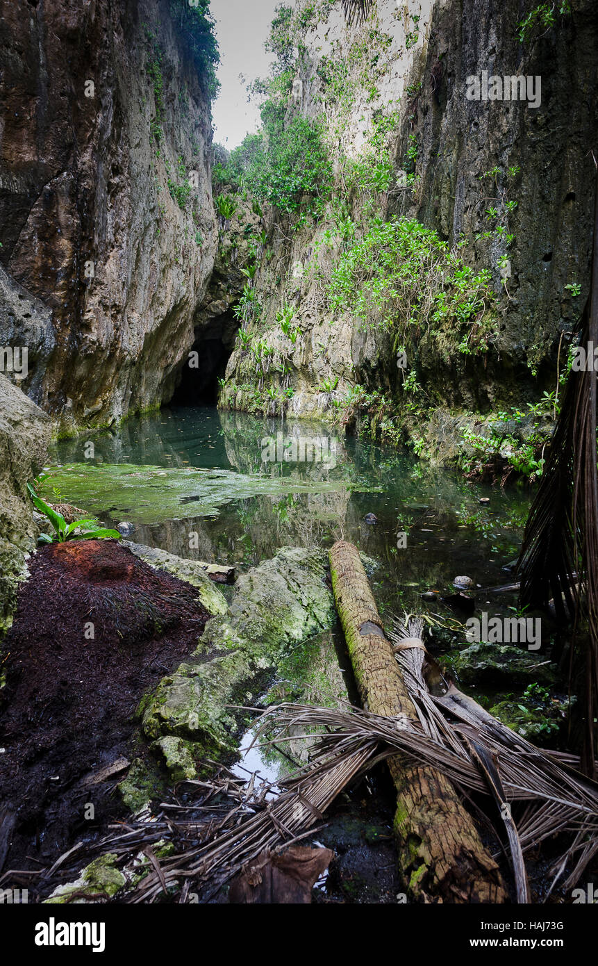 Small lake in chasm, Togo Chasm, Niue, South Pacific, Oceania Stock ...