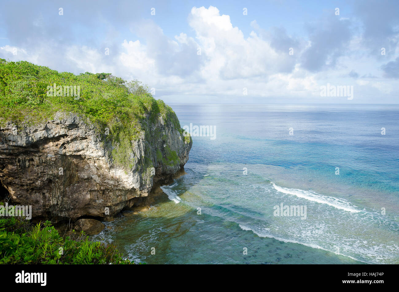 Coral reef and cliff, Avaiki, Niue, South Pacific, Oceania Stock Photo ...