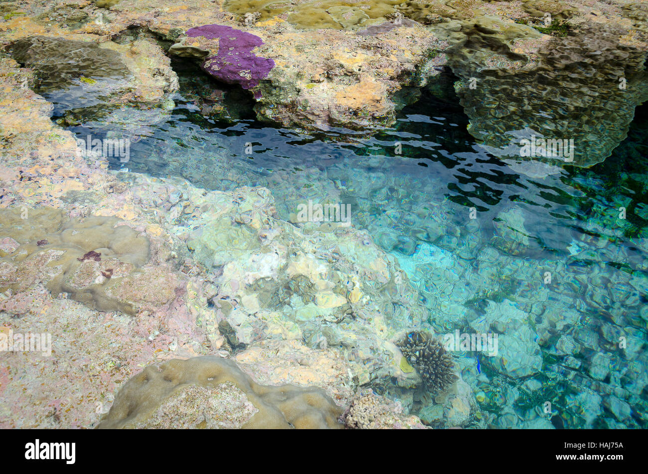 Hio hi-res stock photography and images - Alamy