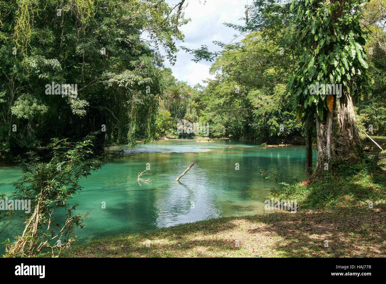 Aqua Azul waterfall on Chiapas, Mexico Stock Photo - Alamy