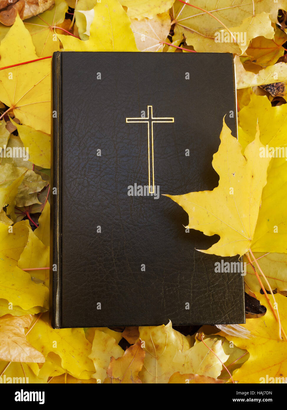 Bible. Holy bible and autumn leaves Stock Photo - Alamy