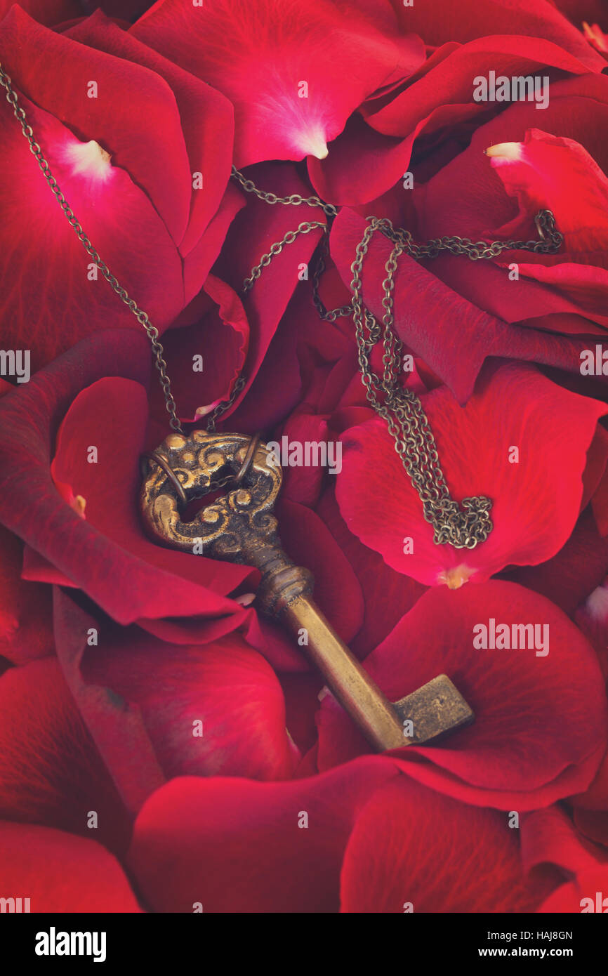 Key with red rose petals Stock Photo - Alamy