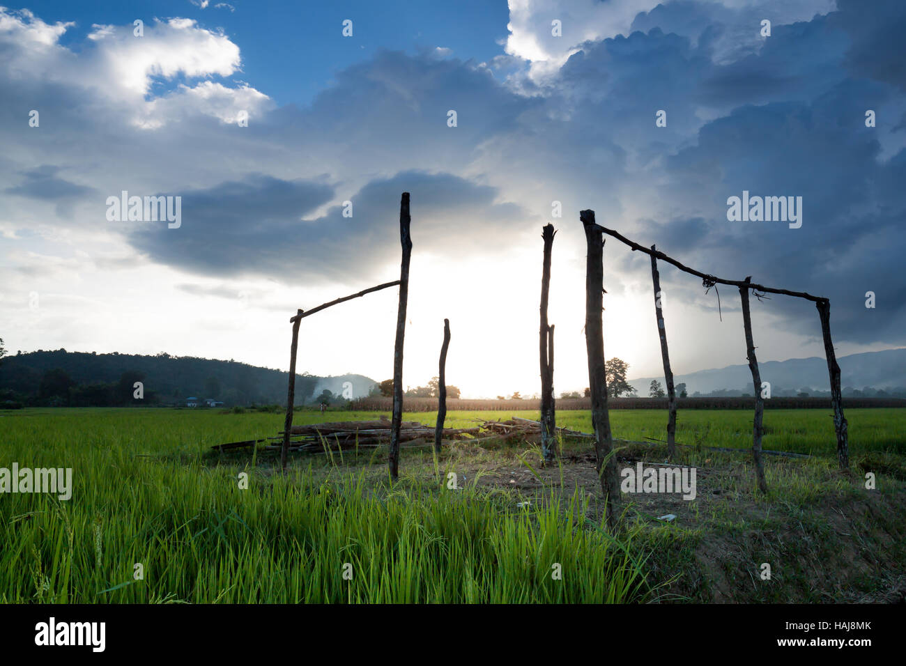 Sun and outdoor nature farm hi-res stock photography and images - Alamy