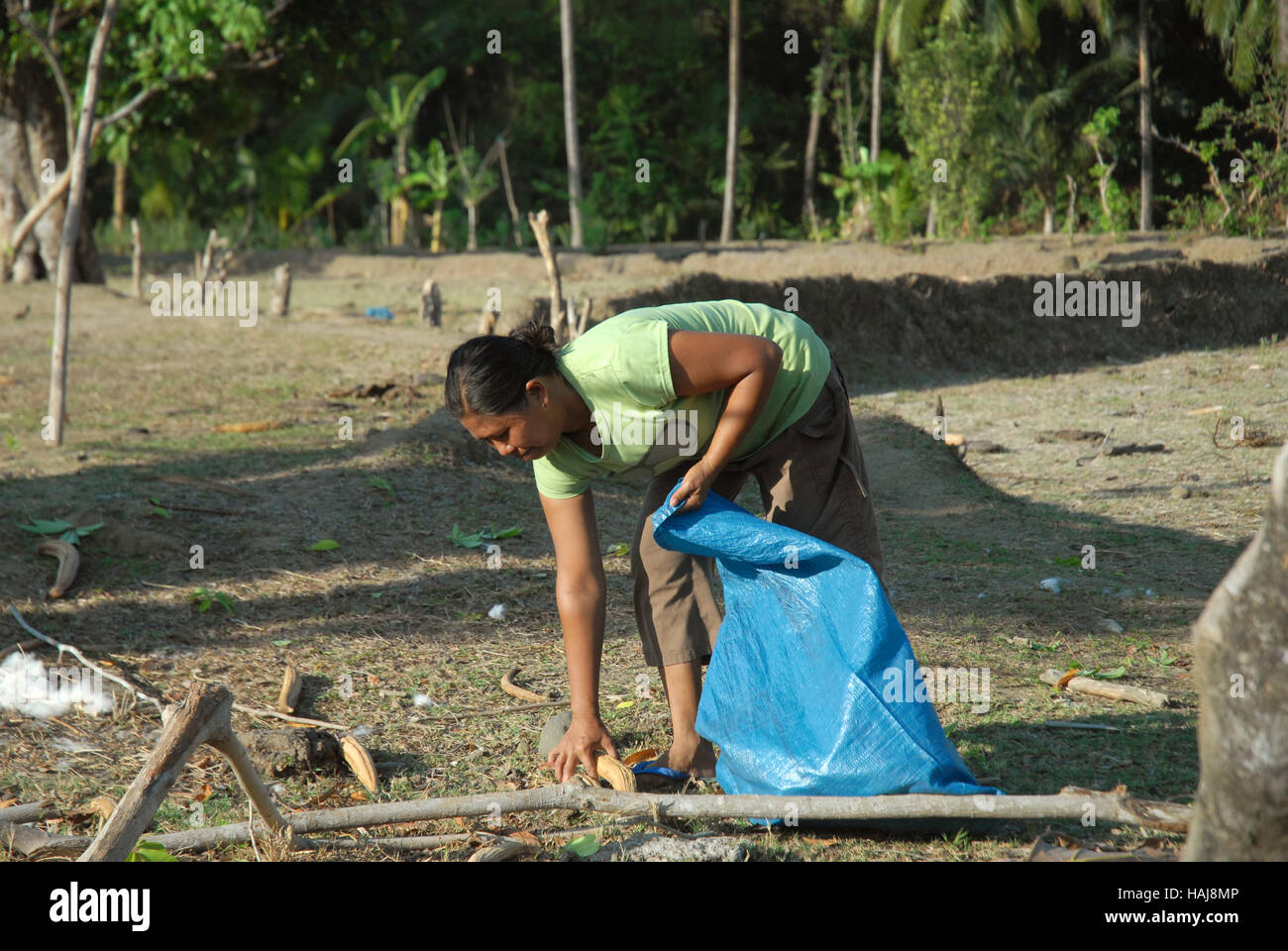 Women collecting Kopak, Lawigan, San Joaquin, Iloilo, Philippines Stock ...