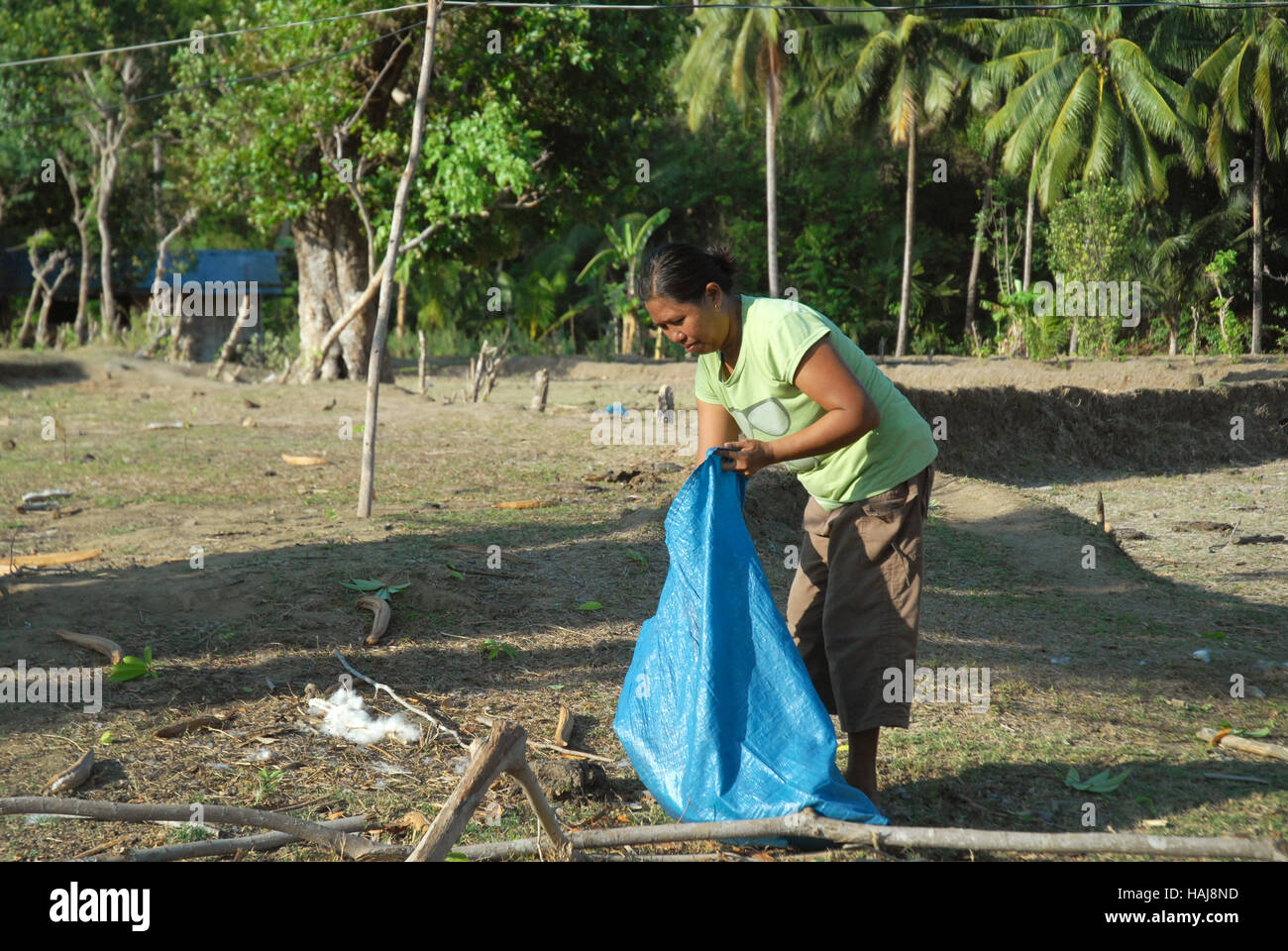 Women collecting Kopak, Lawigan, San Joaquin, Iloilo, Philippines Stock ...