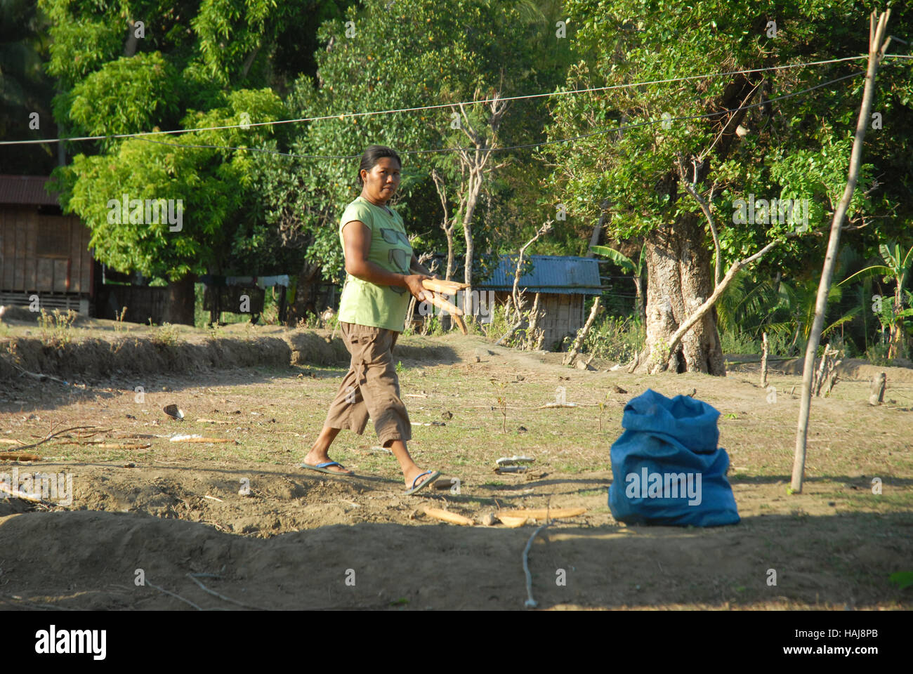 Women collecting Kopak, Lawigan, San Joaquin, Iloilo, Philippines Stock ...